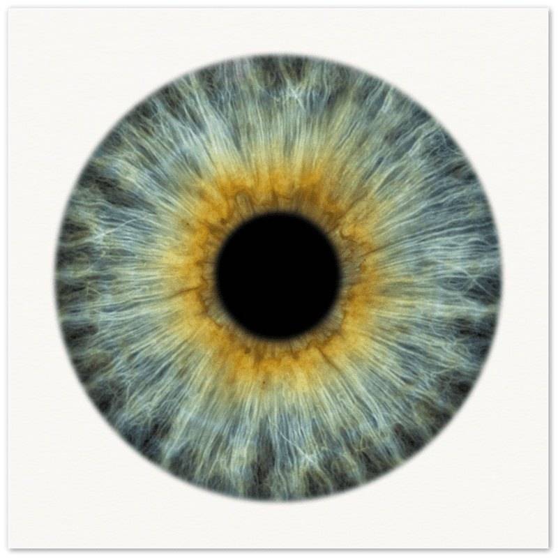Custom Iris Art Print - The Pristine | Eye Photography Wall Art - Iris ...