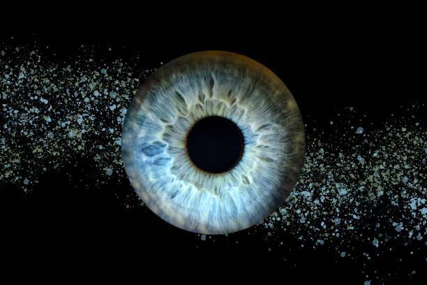 Transform Your Iris into Personalized Wall Art & Eye Prints