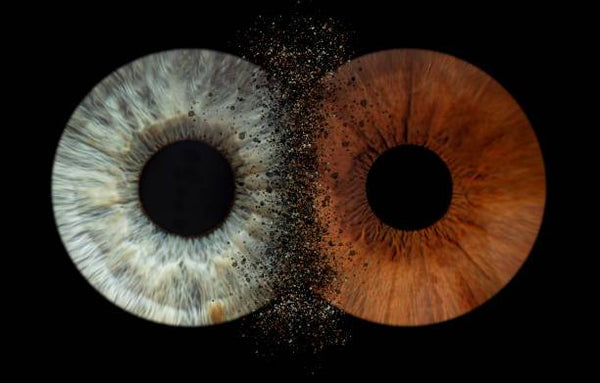 Transform Your Iris into Personalized Wall Art & Eye Prints