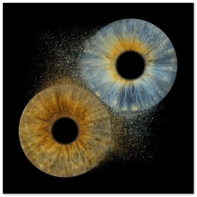 Captivating Duo Iris Eye Portraits | Online Iris Prints - Iris Blink®